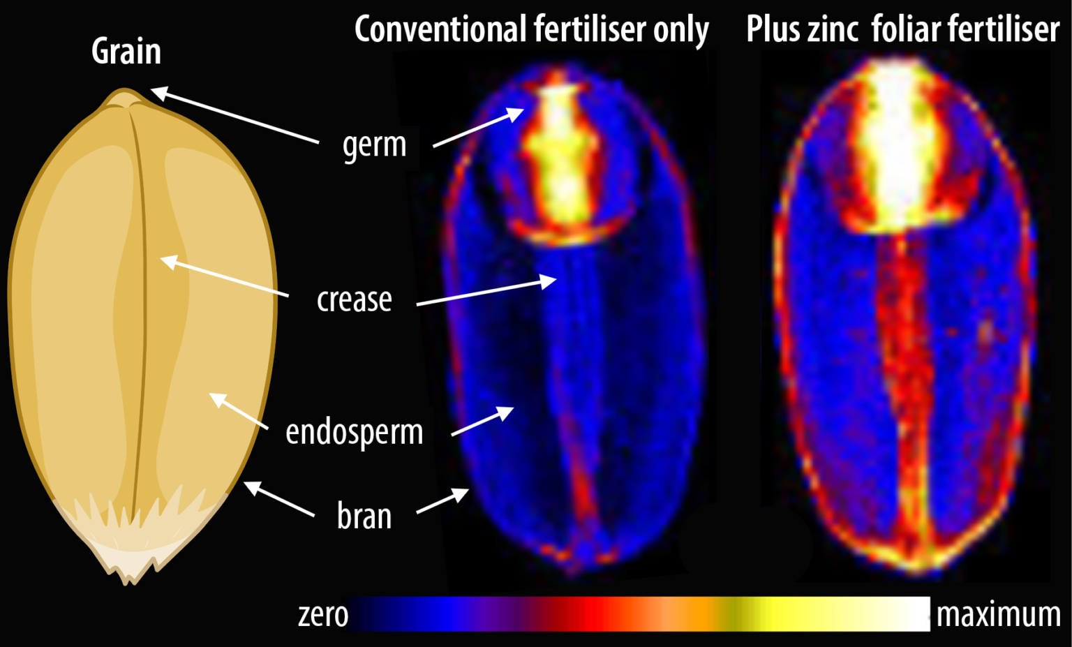 Soil Nutrients Explained - Soil Quality Knowledge Base