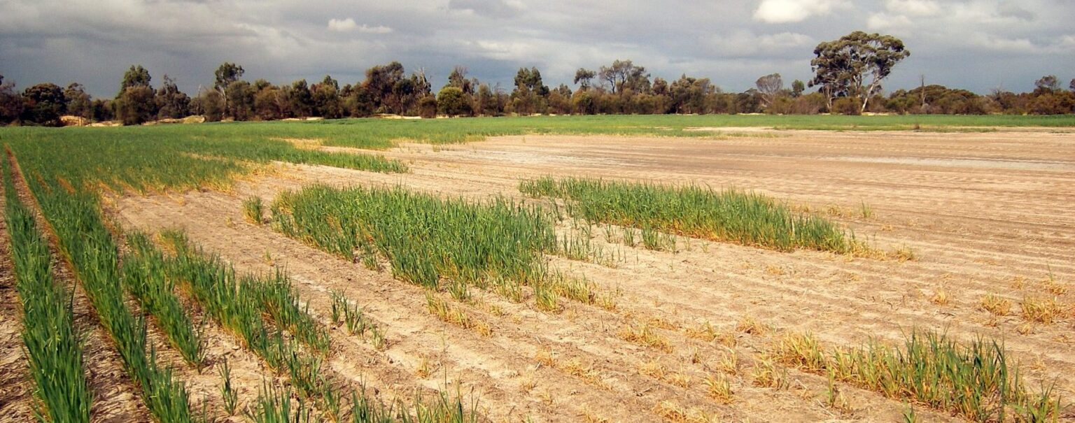 Identifying soil constraints - Soil Quality Knowledge Base